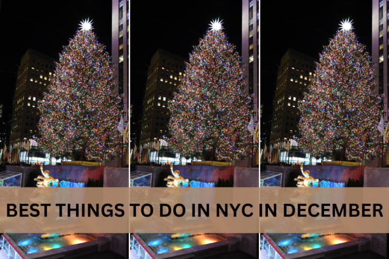 11 of the best things to do in NYC in December - Chasing Sun-Raiz
